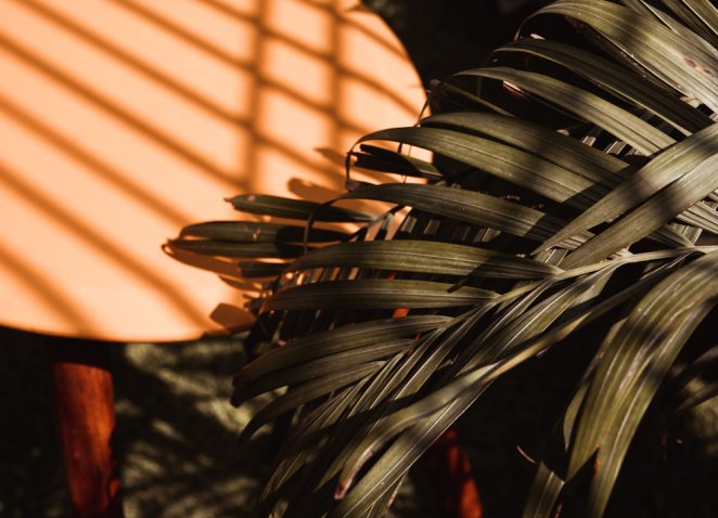 Lifestyle - Ebb & Flow